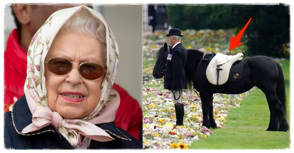 The Queen's Favourite Scarf Appeared During Her State Funeral - FHHRN