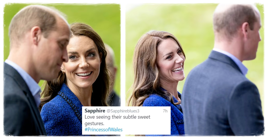 Royal Fans Delighted Over Kate's 'Look Of Love' At Prince William - FHHRN